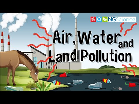 Real-World Examples of Pollution in Our Environment