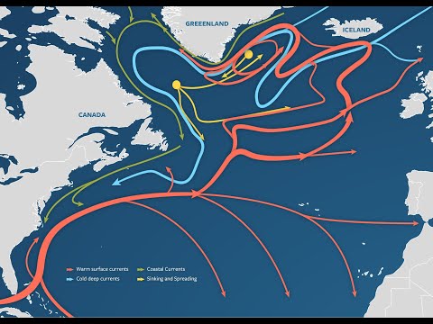 Deep Ocean Circulation and Its Role in Climate Dynamics