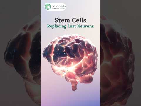 Stem Cell Institute Promoting Innovative Research and Education
