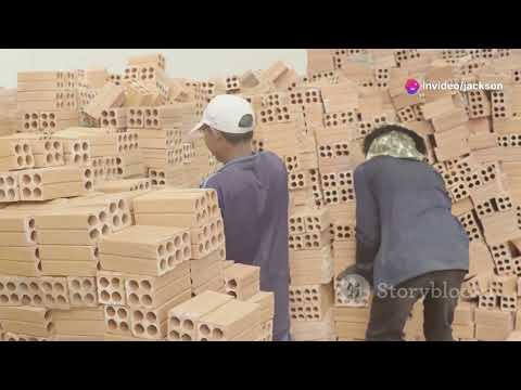 Innovative Biobricks: Sustainable Building for Tomorrow's Needs