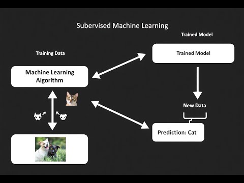 Real-World Applications of Supervised Machine Learning