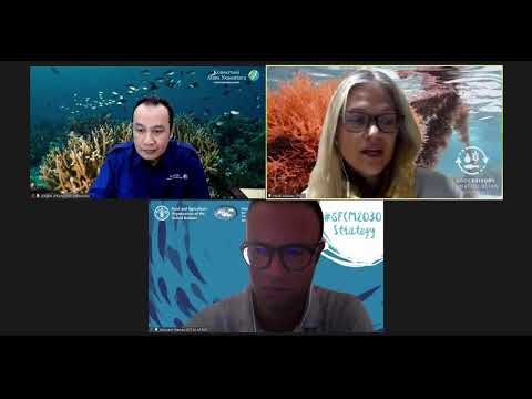 Innovative Approaches to Ocean Conservation and Science Outreach