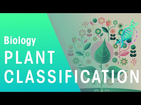 Botanical Taxonomy and Its Role in Plant Science Education