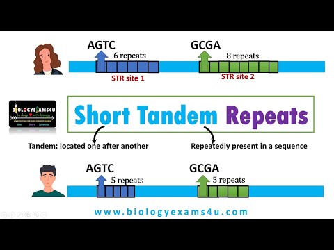 Short Tandem Repeats in Genetics and Forensic Science