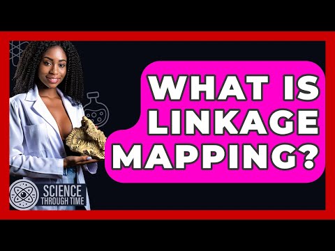Mapping Genes: The Role of Linkage Maps in Genetics Research