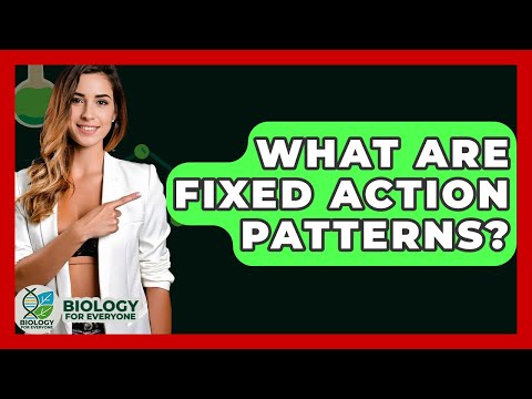 The Science Behind Fixed Action Patterns in Animal Behavior