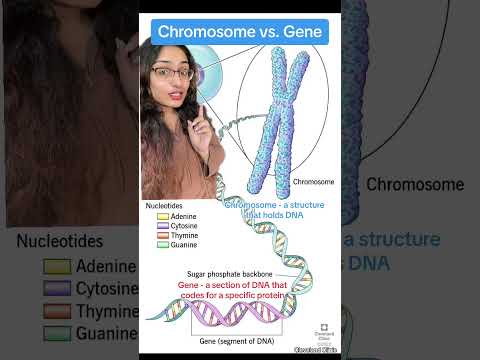 Defining Genes: A Cornerstone of Biological Science
