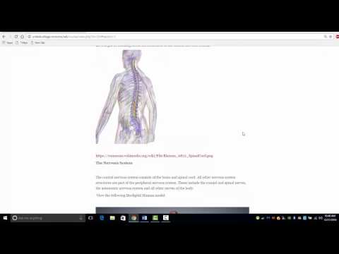 Biodigital Humans Bridging Biology and Technology in Science