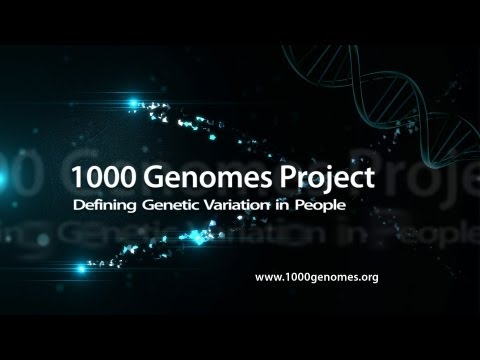 Genomic Insights from the 1000 Genomes Project