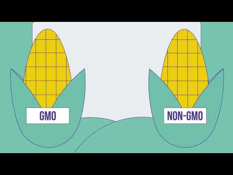 Innovative Examples of Bioengineered Food in Science