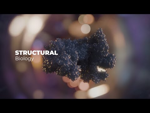 Nature Structural Biology: Bridging Molecules and Life