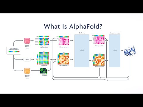 Advancements in AlphaFold Protein Structure Database Access