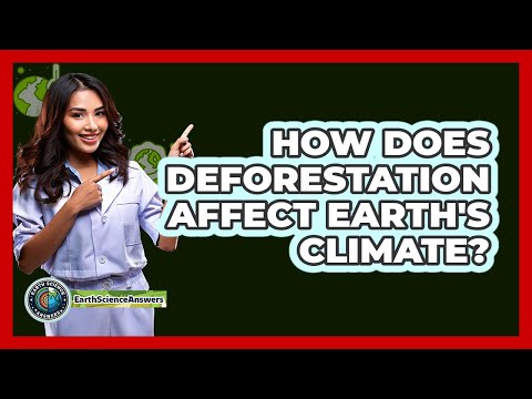Deforestation's Role in Accelerating Global Warming Effects
