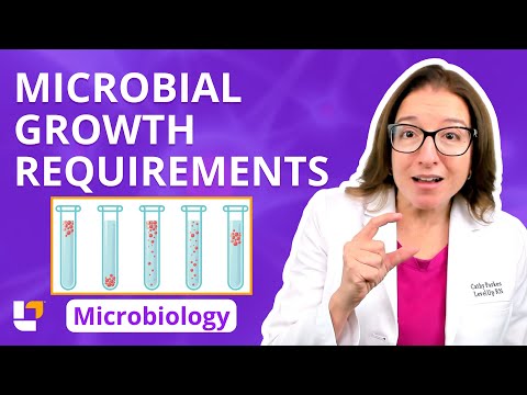 Microbial Physiology and Its Role in Environmental Health