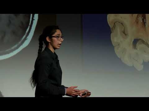 Introduction to Biomedical Engineering and Its Scientific Importance