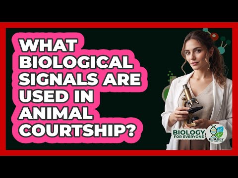 The Science of Animal Courtship: Strategies and Signals