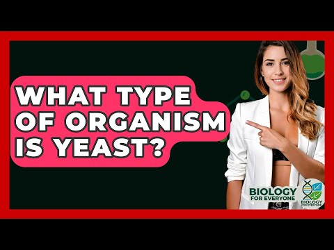 The Fascinating Taxonomy of Yeast and Its Scientific Importance